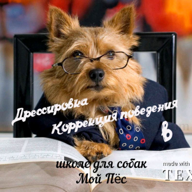 Иконка канала Moy_pes