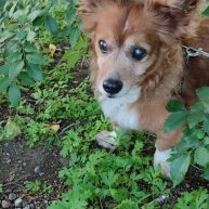 Иконка канала Истории Малыша