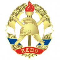 Иконка канала ВДПО