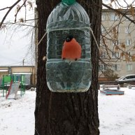 Иконка канала channel38365425