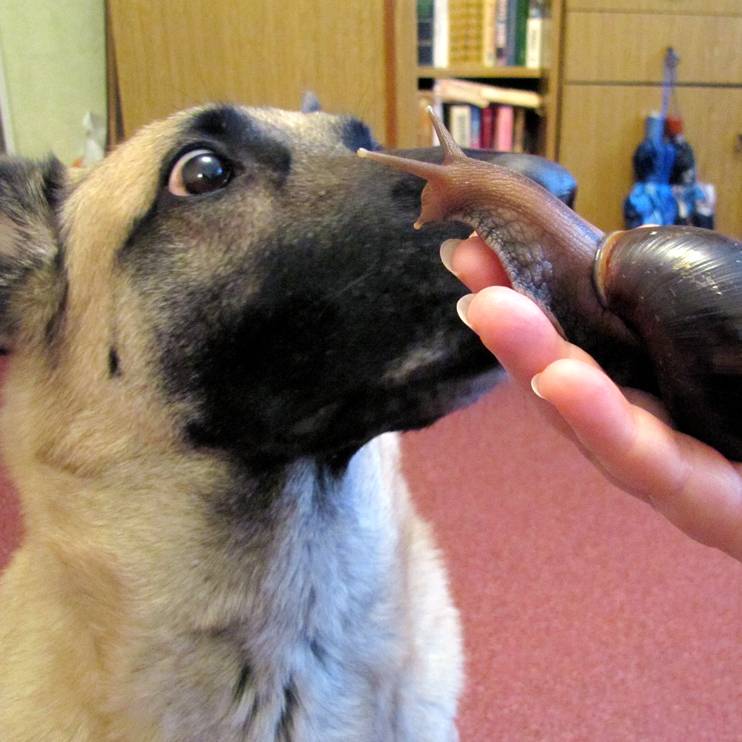 Иконка канала PolliannaNata