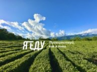 Иконка канала #ЯЕду