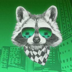 Иконка канала Енот Борис