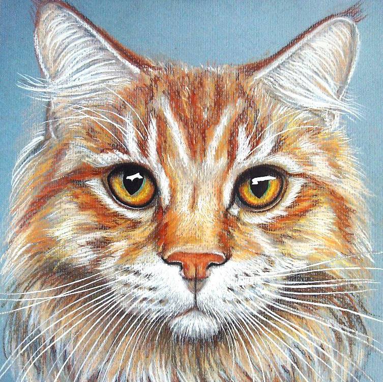 Иконка канала Marta Arts