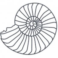 Иконка канала Центр Дополнительного Образования ИГиНГТ КФУ