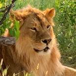 Иконка канала Даниэлла Вознесенская