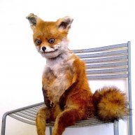 Иконка канала Pogorelov - TV