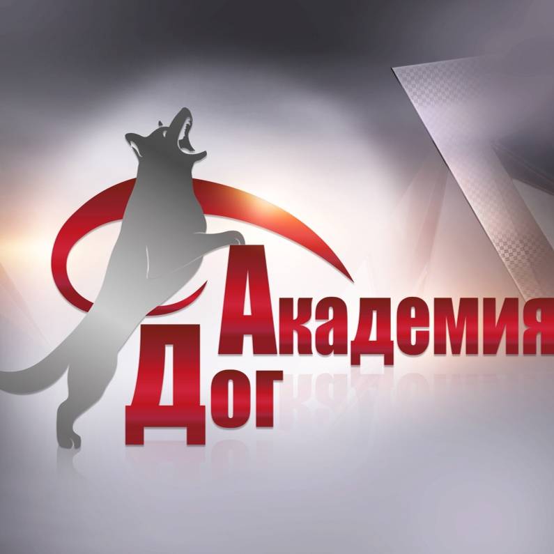 Иконка канала Академия Дог