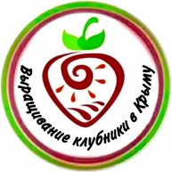 Иконка канала Выращивание клубники в Крыму