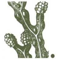 Иконка канала NOLLA