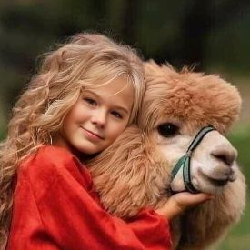 Иконка канала Арина Барунова