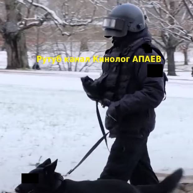 Иконка канала Кинолог АПАЕВ