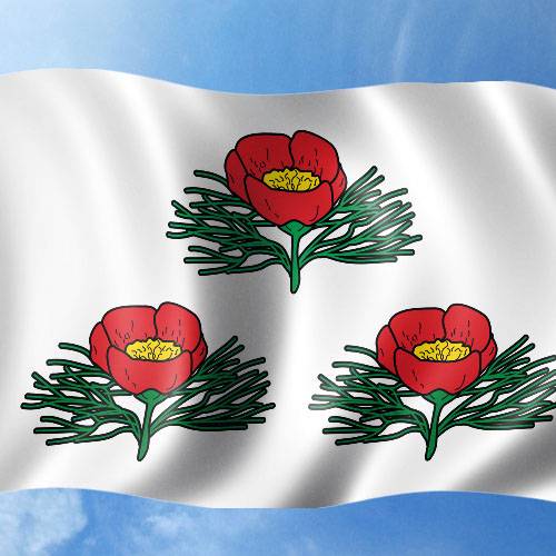 Иконка канала Культура Вейделевского района