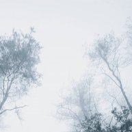 Иконка канала Info klad