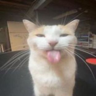 Иконка канала трамбалон