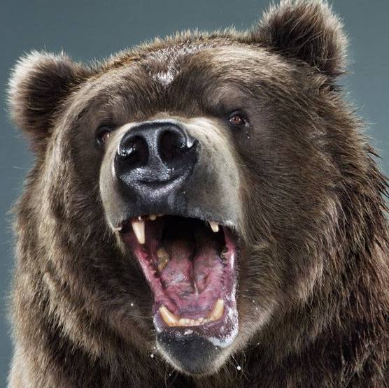 Иконка канала БАЛАМУТ ТВ