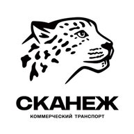 Иконка канала scanezh