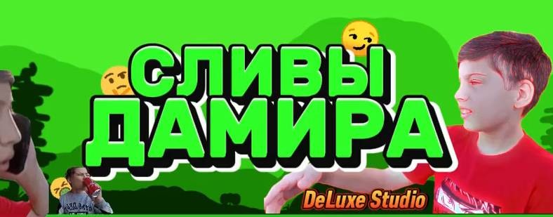 СЛИВЫ ДАМИРА