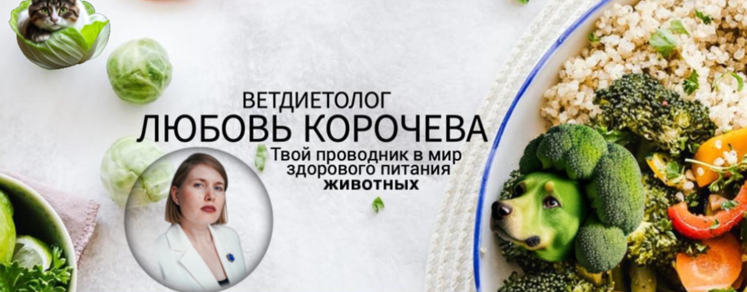 Любовь Корочева ВетДиетолог