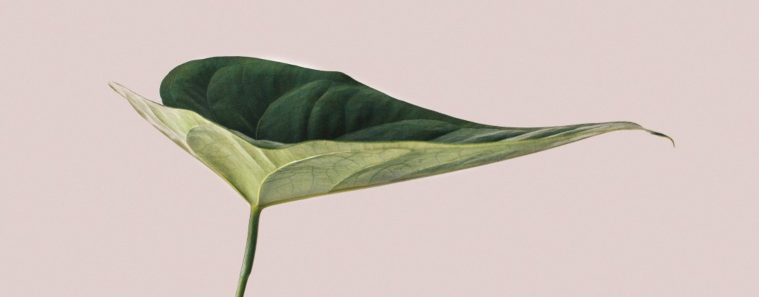 Клиника медицины кожи