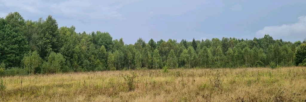 Страничка Надежды
