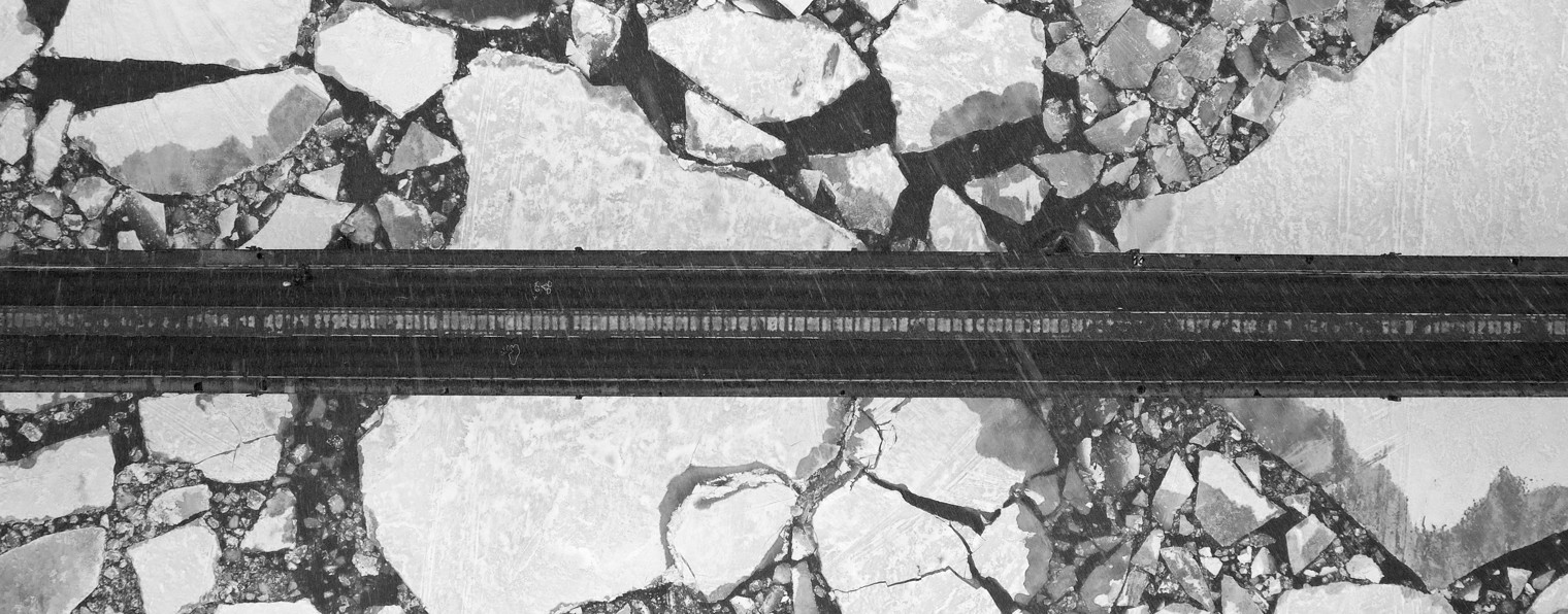 Японская Шишига или в поисках красоты