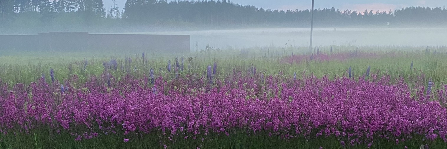 Семья Дачников