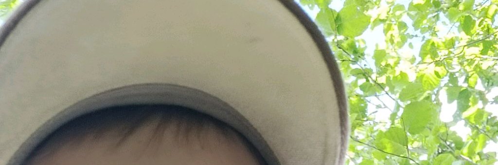 IMISSHAGG