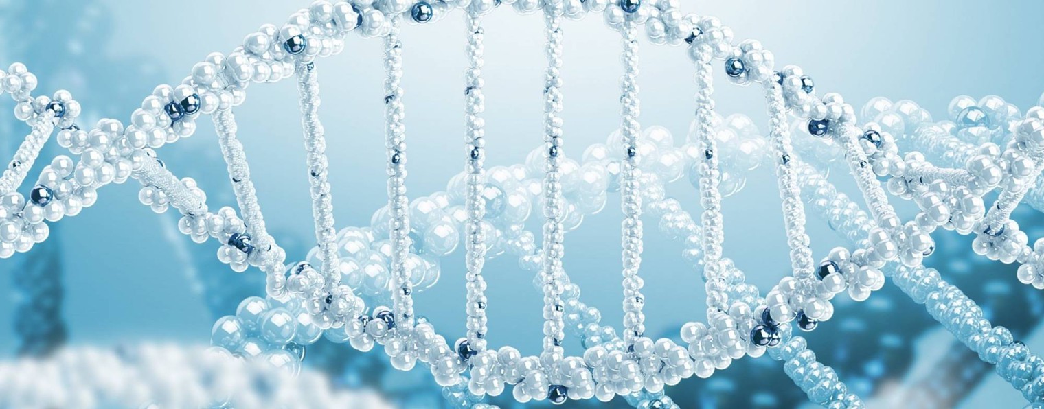 Философия МЕДИЦИНЫ