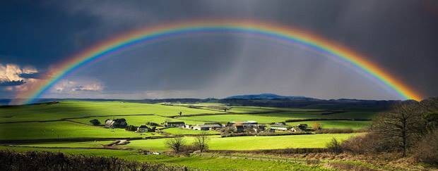Власов Александр