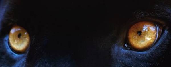 Ольга Иноземцева