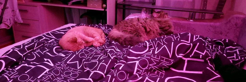 Ангелина1965