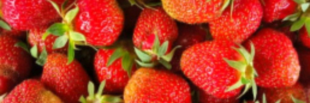 Идеальное блюдо