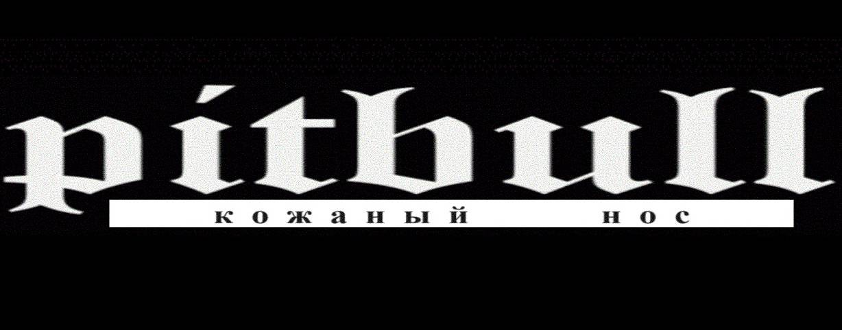 Питбуль БРУК