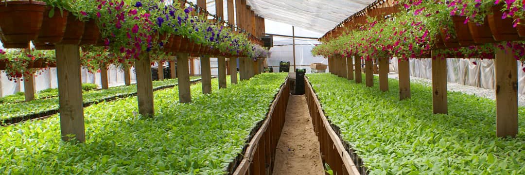 Александра Кайгородцева Секреты загородной жизни