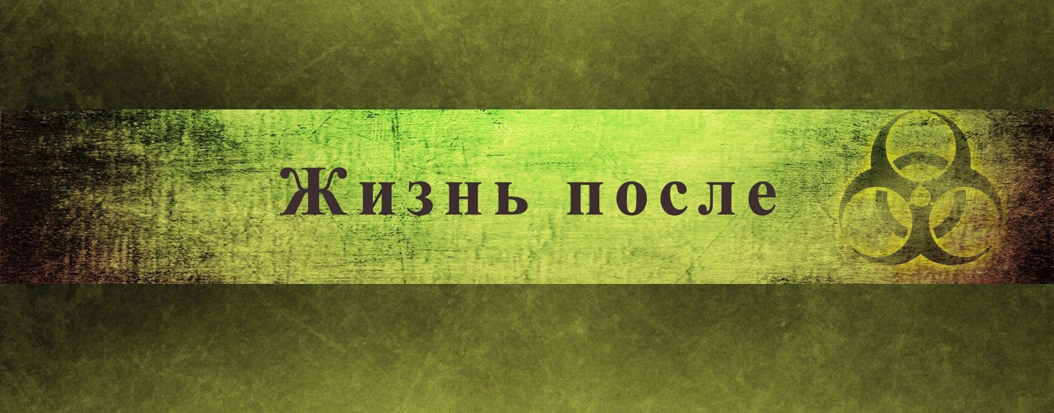 Жизнь после