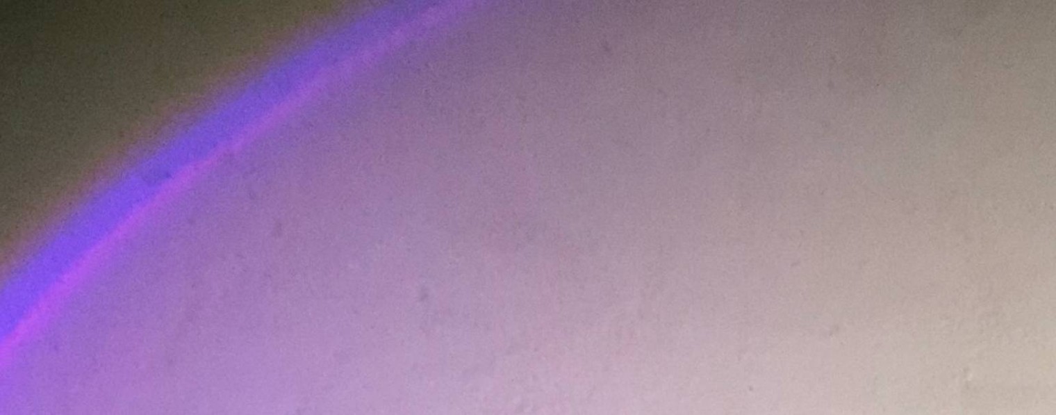 Диана ктоты