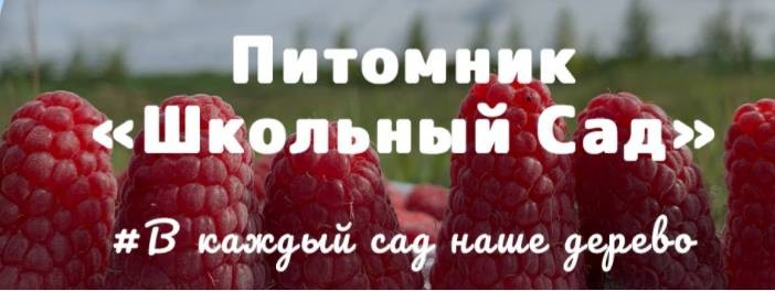 Питомник Школьный сад продажа саженцев