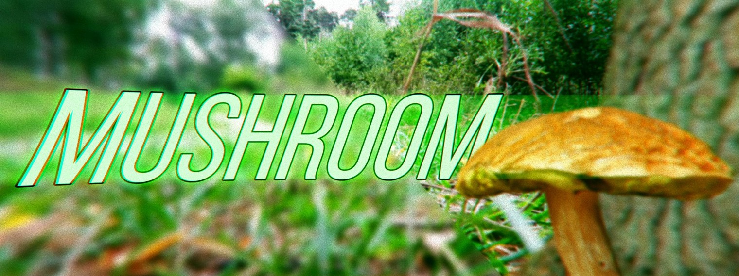Mushroom