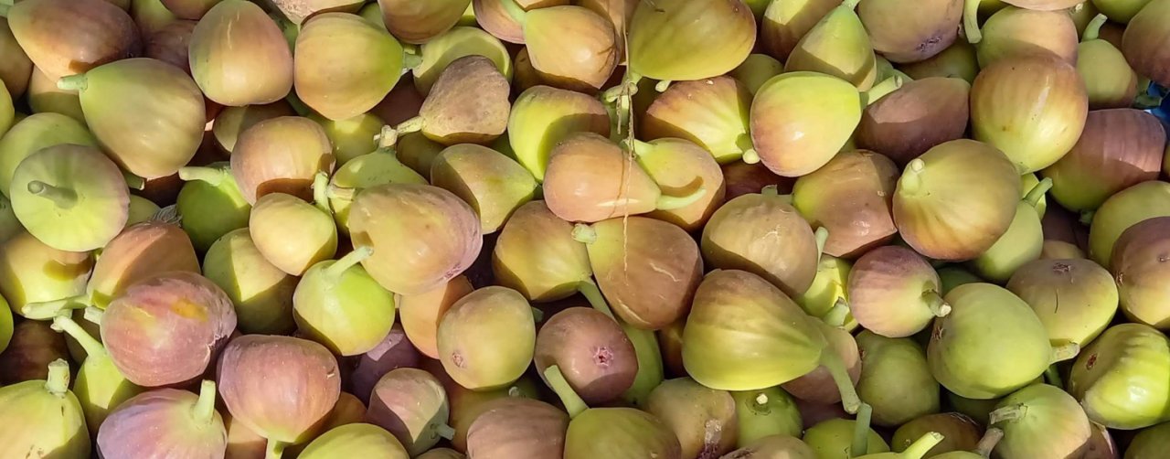 Влад Инжирный