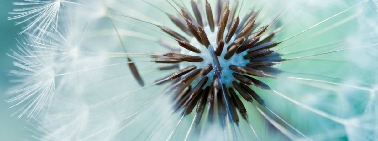 ПРО100 ЖИВЕМ