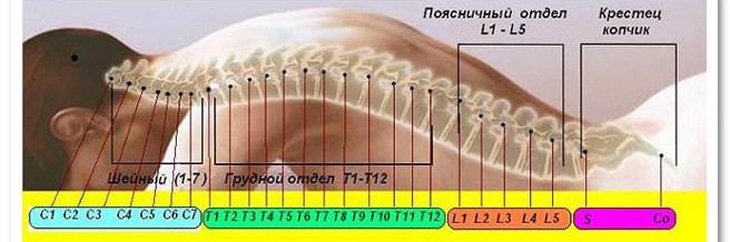 Костоправ Фоменко