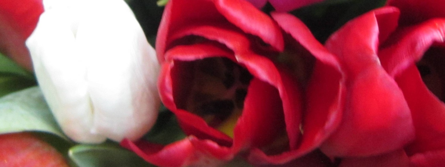 Людмила Юрьева        channel 143