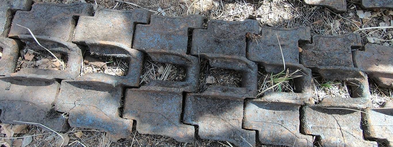 САНИТАРЫ ЛЕСА