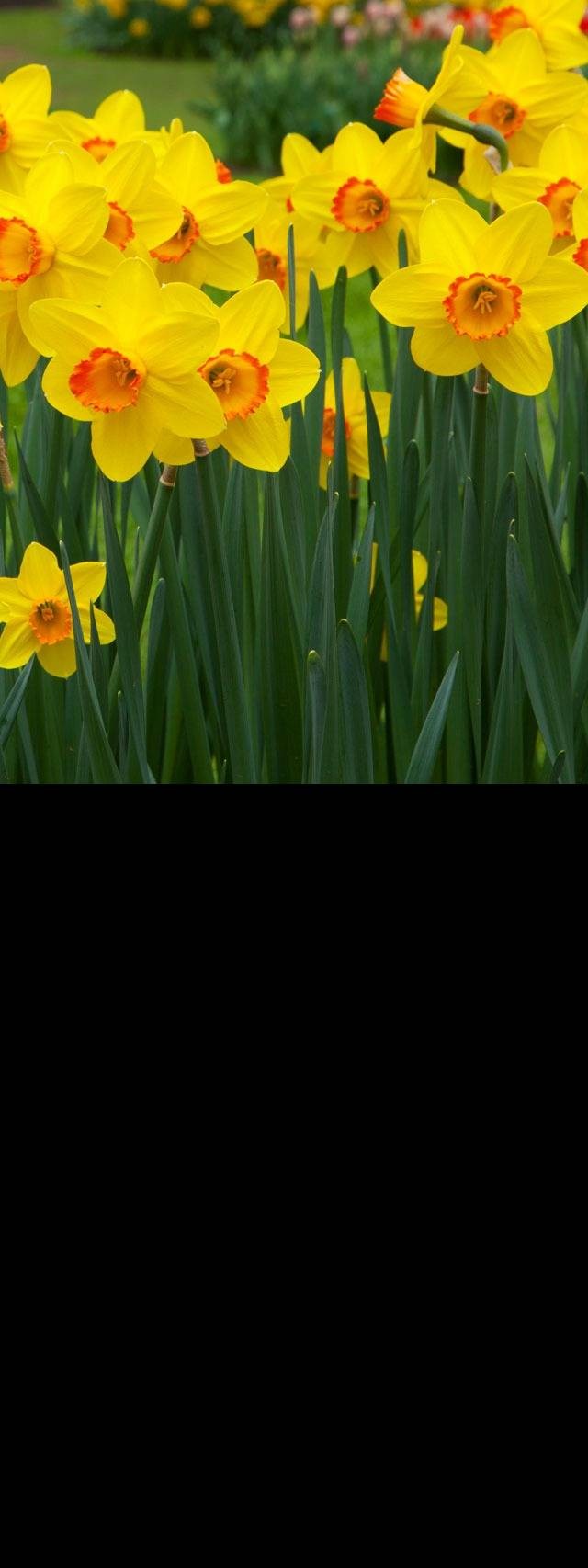 Юрий Фенько