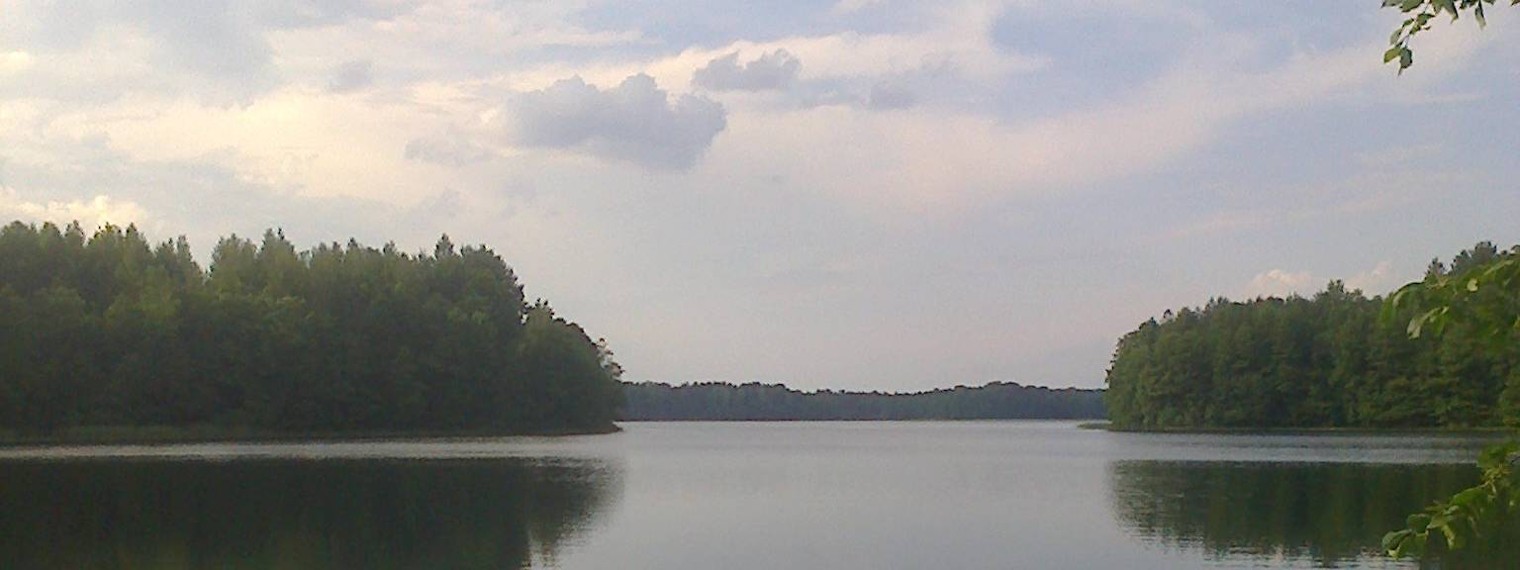 Виктор Агранович