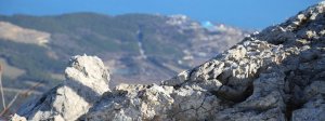 rutube_ ostap-dima
