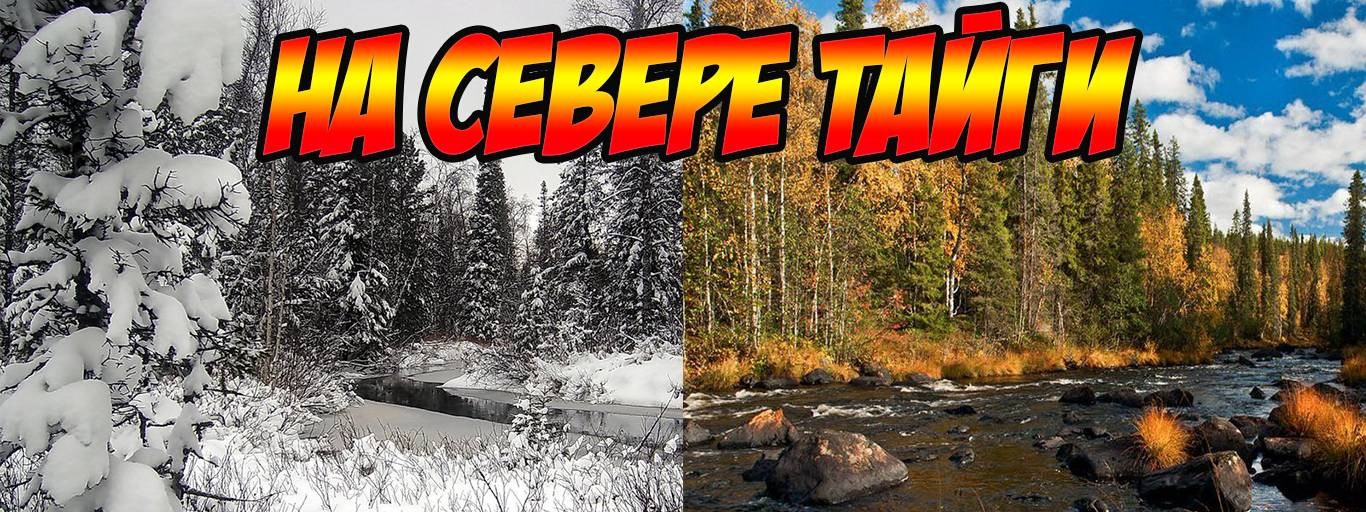 НА СЕВЕРЕ ТАЙГИ