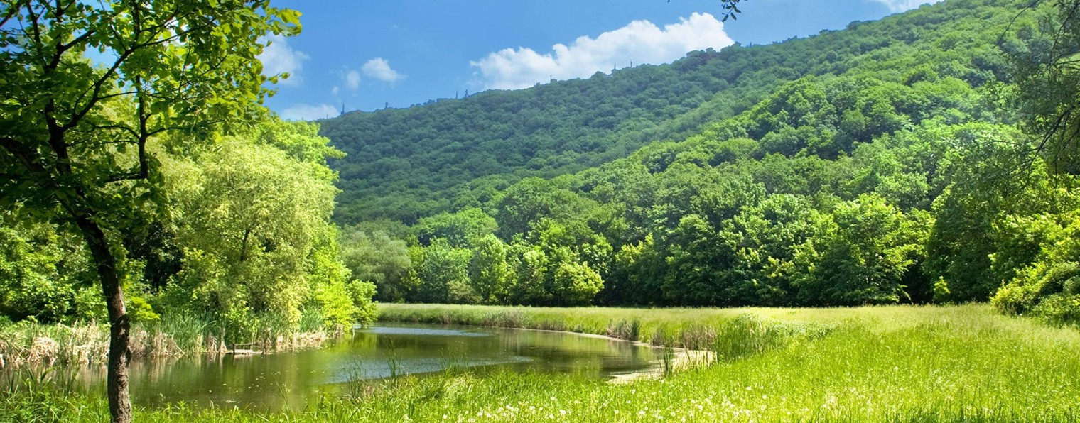 Счастье в простоте