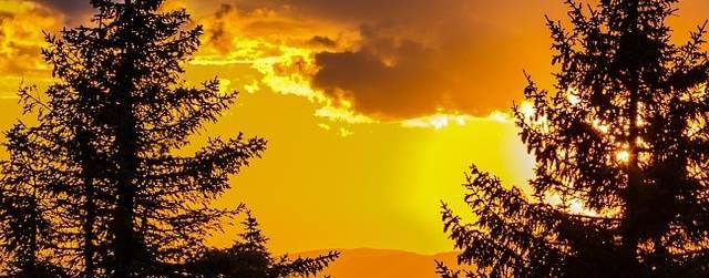 Спартак Сирицкий. Музыка для релаксации и отдыха